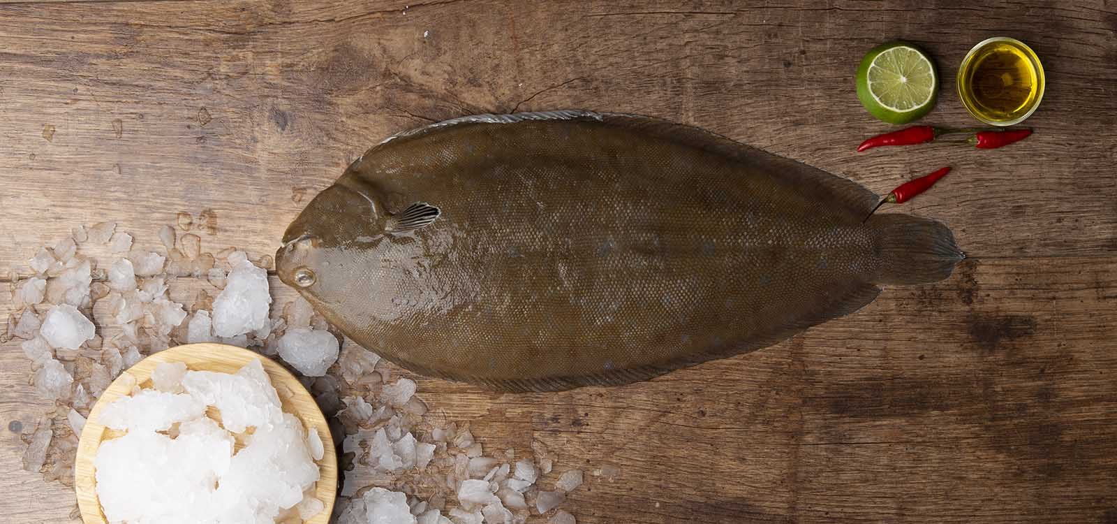 Lenguado King Sole | Lujo gastronómico